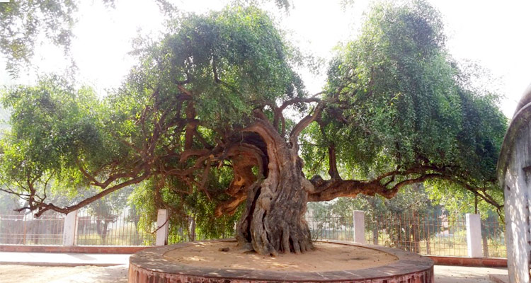 Valmiki Ashram Kanpur (Entry Fee, Timings, History, Images & Location ...